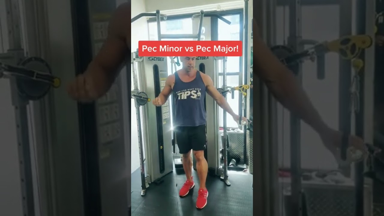 Pec Minor vs Pec Major - YouTube