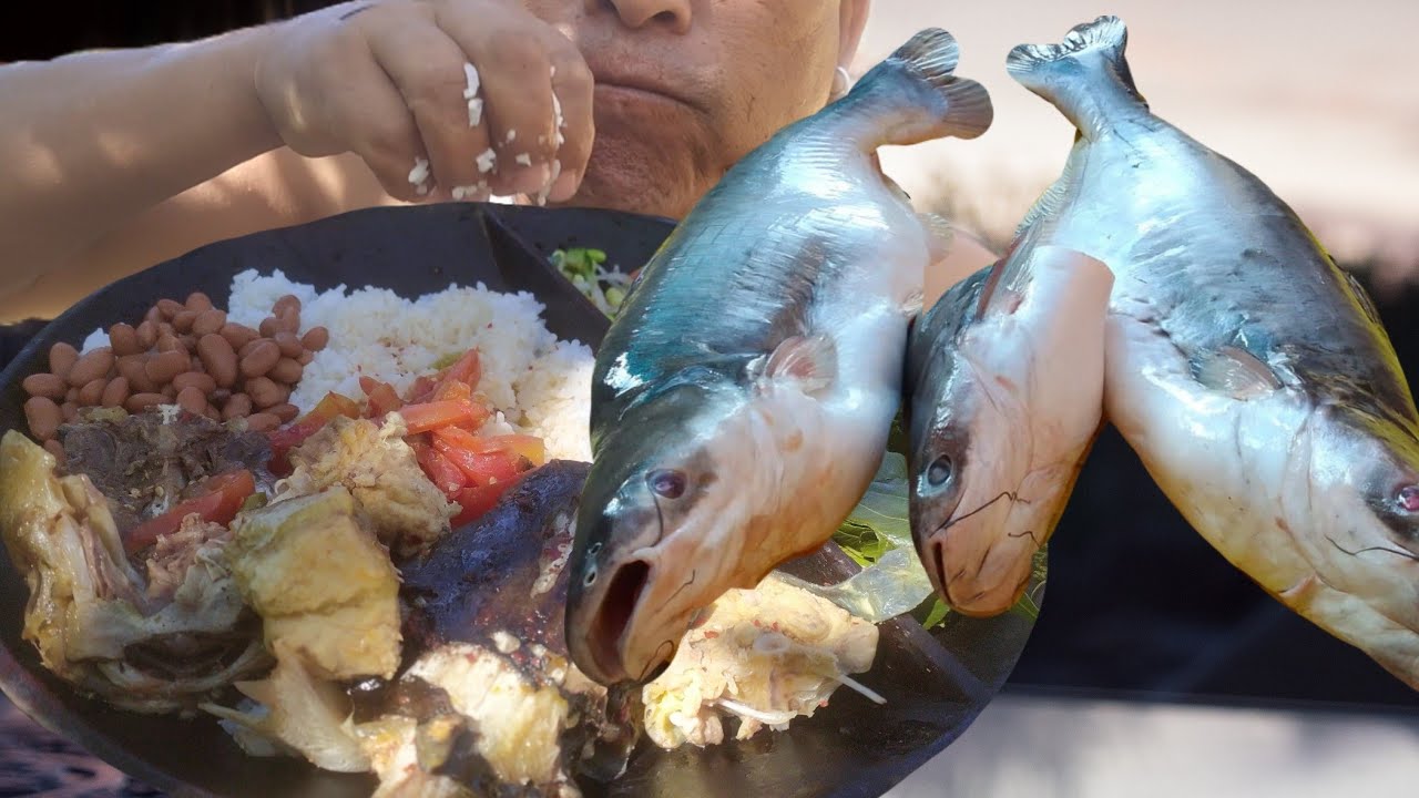 Super Giant Pangas Fish With Naga Dal Salad|@khipsvlog3739 ... - YouTube