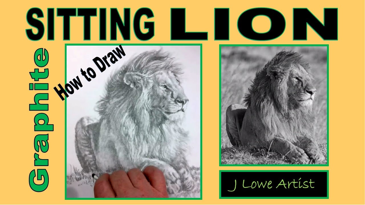 HOW TO DRAW A SITTING LION Easy - YouTube