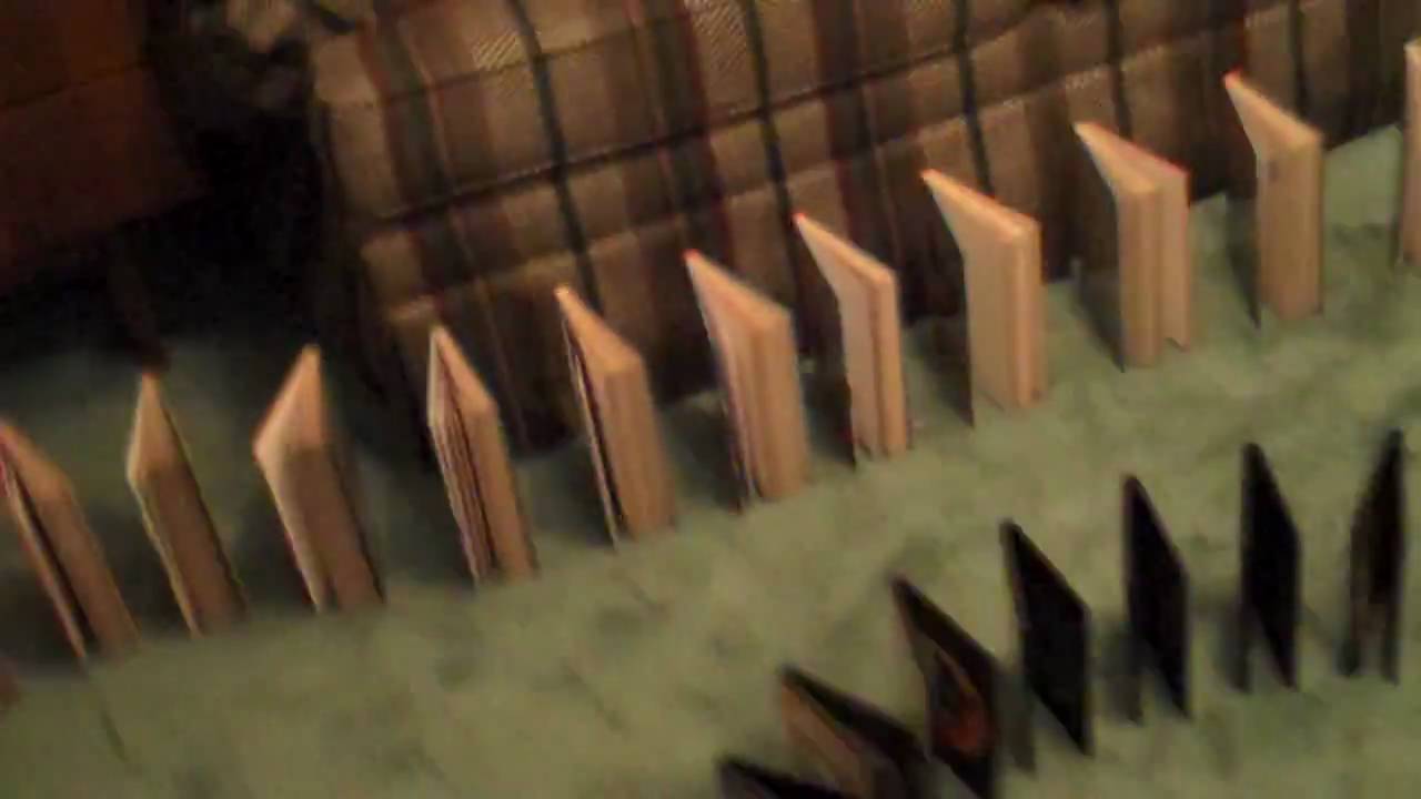 2nd Domino DVD and Books - YouTube