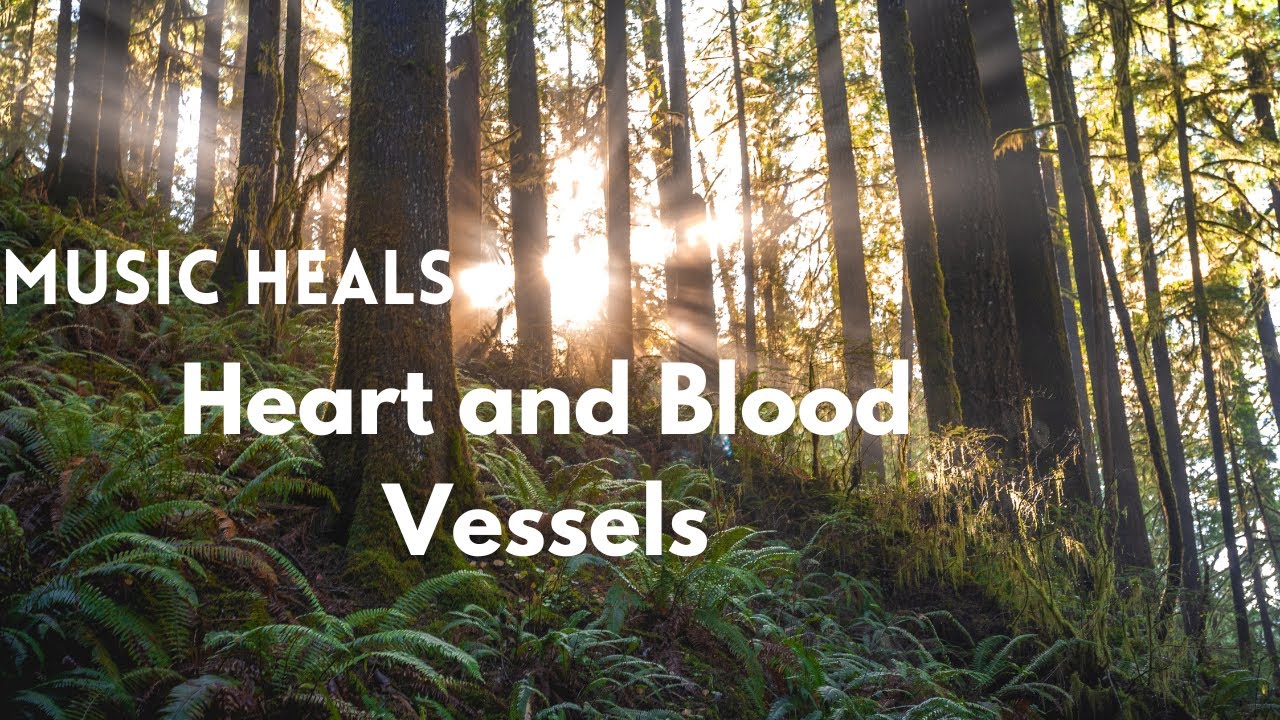 Music heals the heart and blood vessels 🌿 Calming music restores the ...