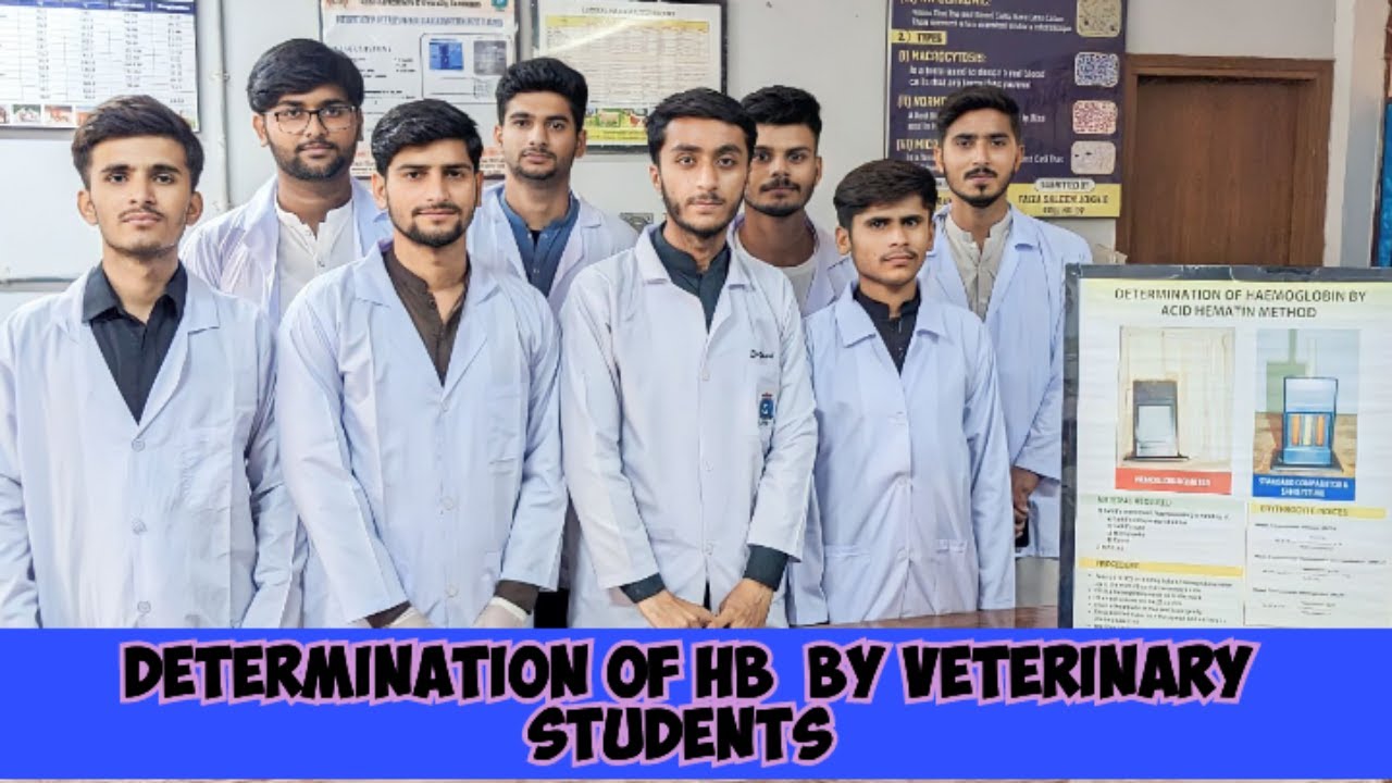 how to measure HB? Determination of HB - YouTube