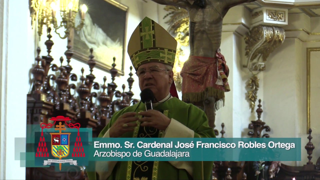 "Ustedes son la sal de la tierra", Homilía del Cardenal José Francisco ...