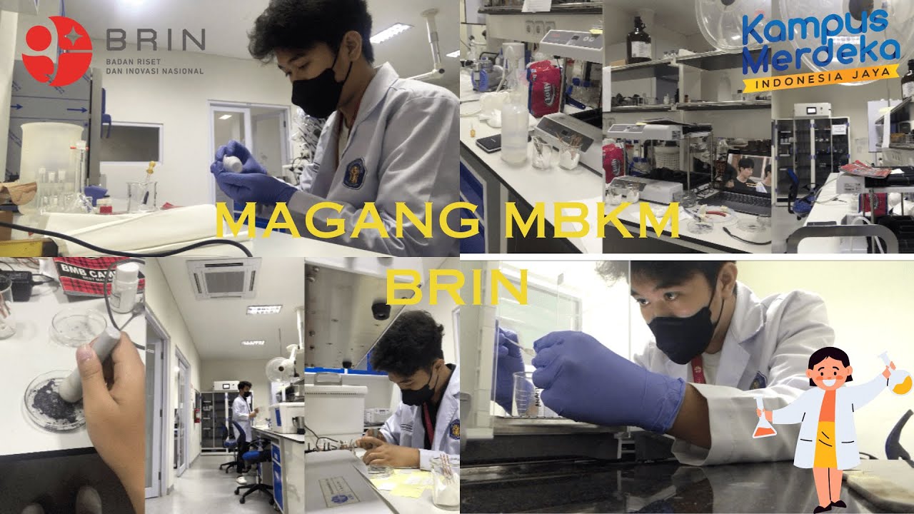 Kegiatan Magang (MBKM) di BRIN 2023 - YouTube