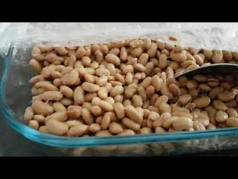 🔴SÜPER GIDA ''N A T T O'' SOYA FASULYESİ FERMANTASYONU KENDİN YAP