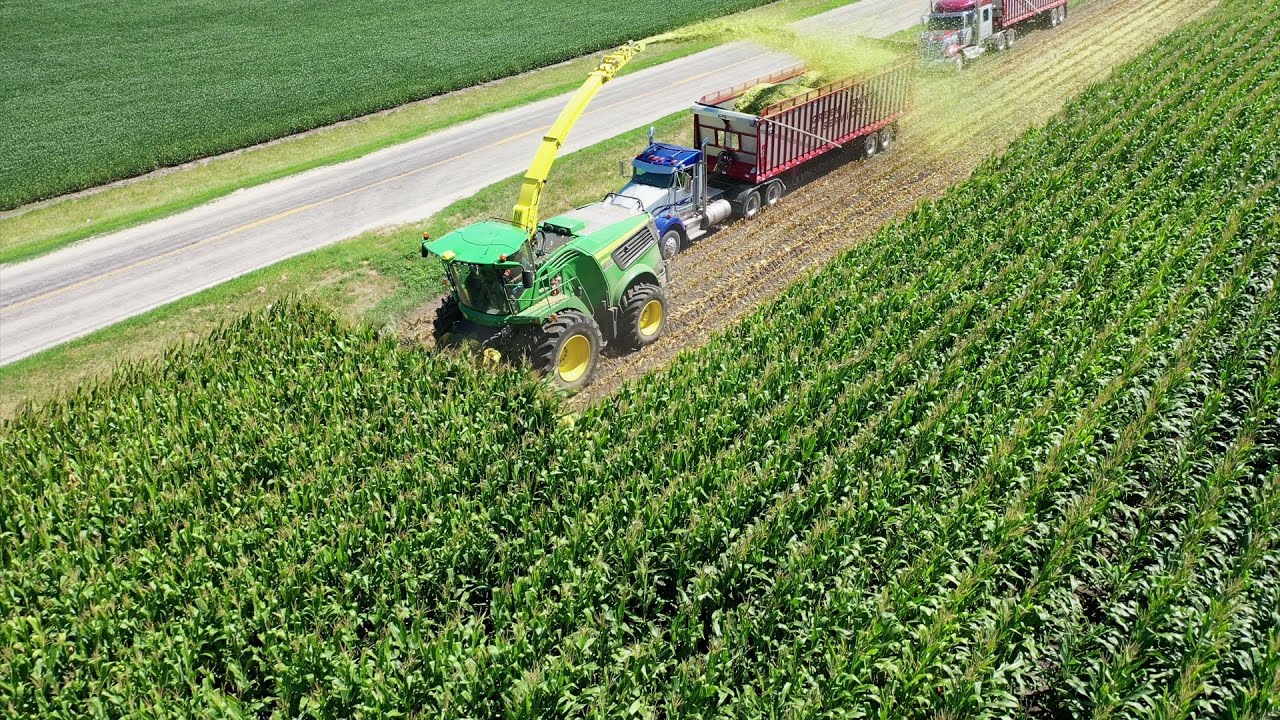 Chopping Corn Silage with the John Deere 9900 Self-Propelled Forage ...