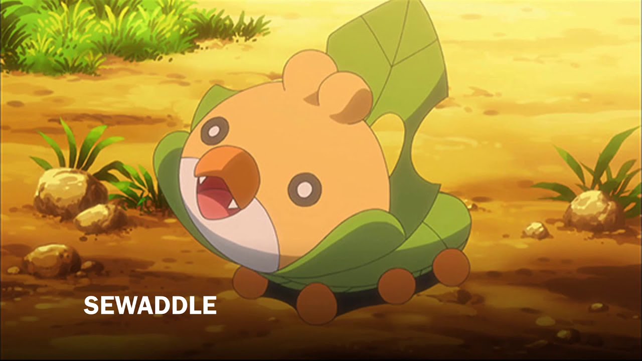 All Ash's Pokemon team | HD | Gen 1 - Gen 8 - YouTube