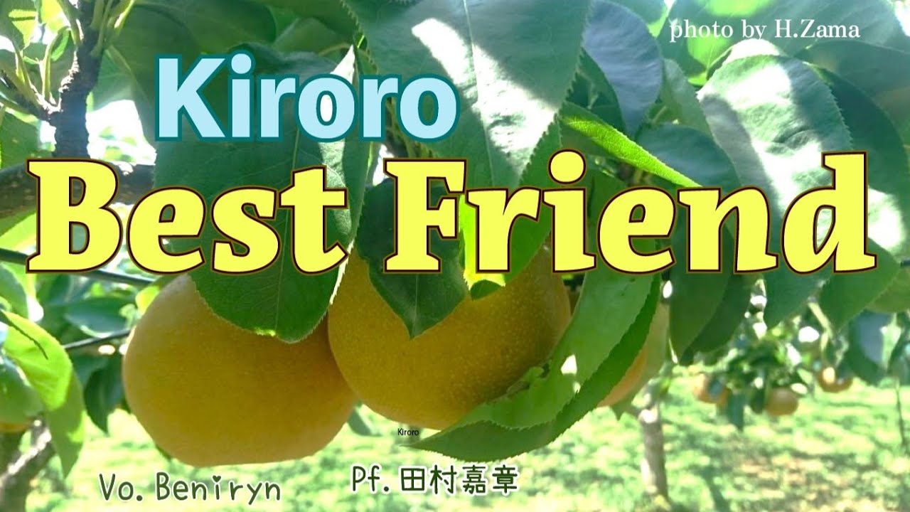 Kiroro／Best Friend - YouTube