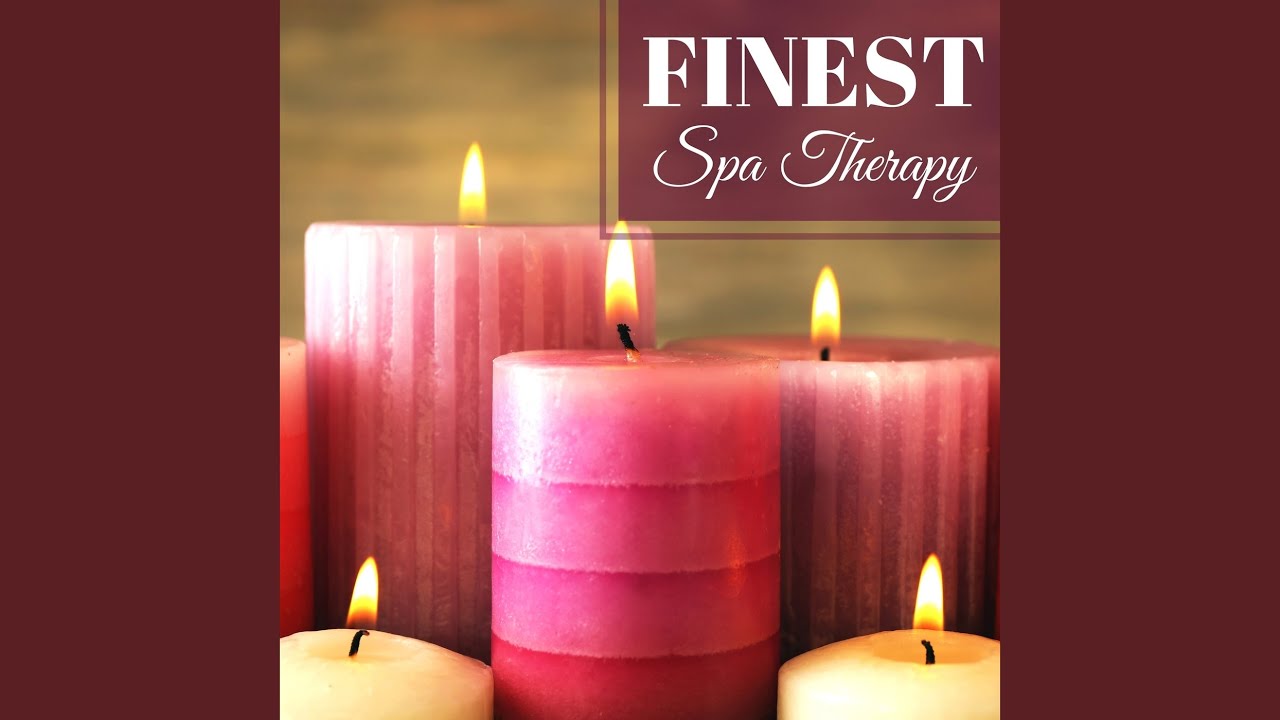 Bongo Bird Lullaby - YouTube