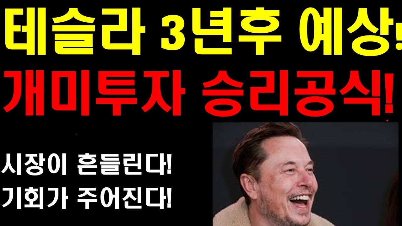 테슬라 3년후의 모습 개미 투자자 성공 방정식 시장이 흔들리는 것은 기회가 주어지는것이다 머스크 회사 컴백후 엄청난