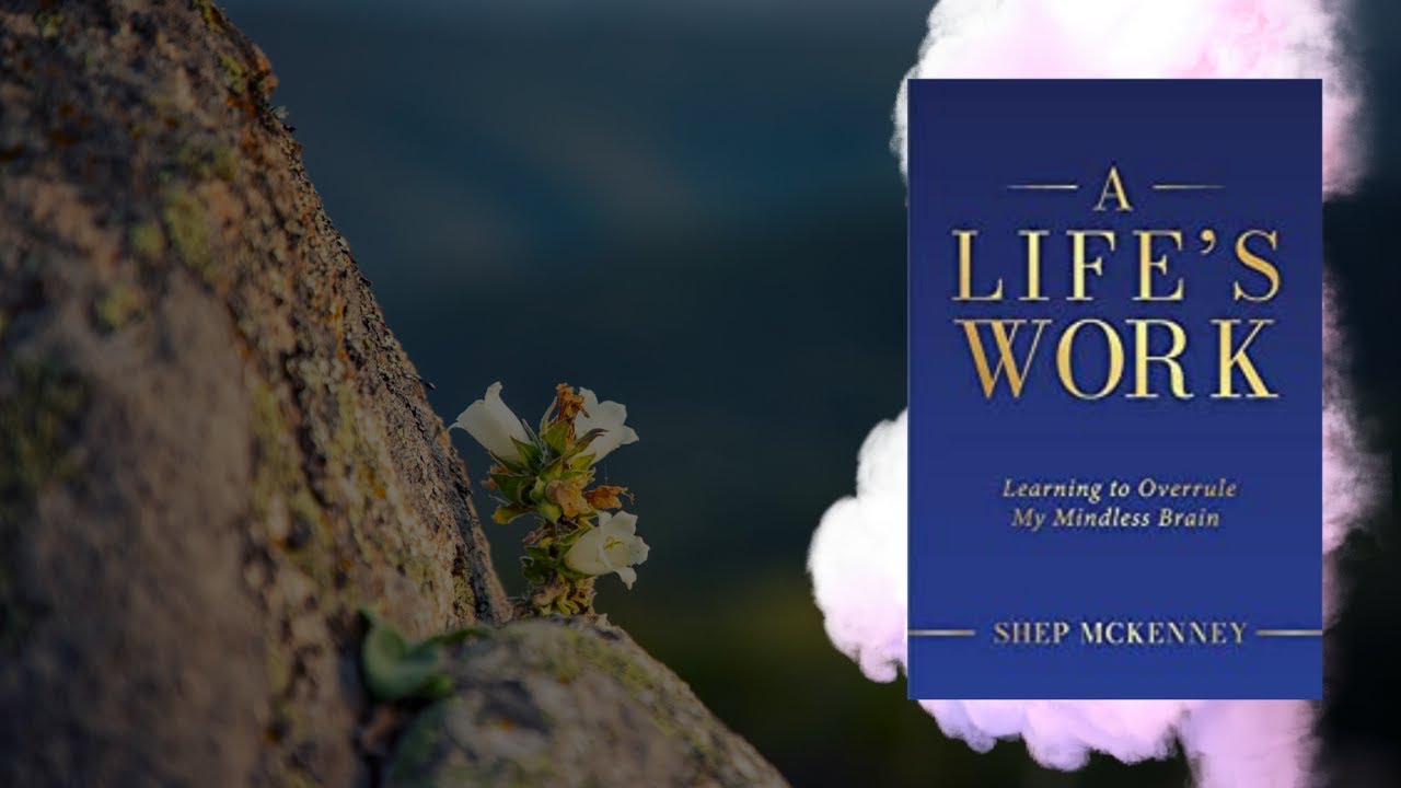 A Life's Work: Learning to Overrule My Mindless Brain || By: Shep ...