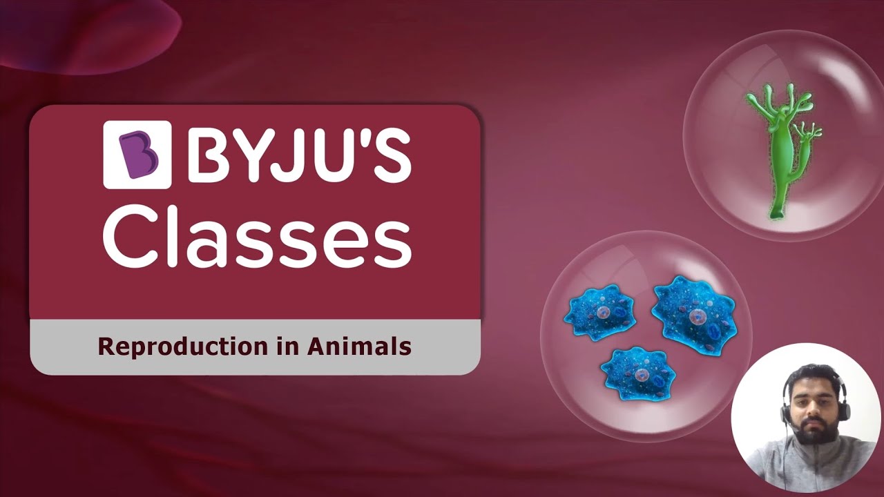Demo - Reproduction in Organisms | Biology - YouTube