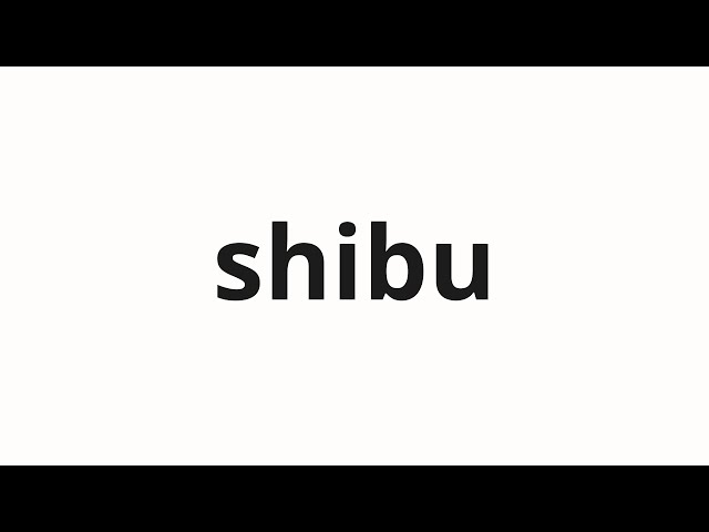 Shibu Logo
