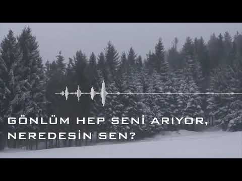 Gönlüm Hep Seni Arıyor, Neredesin Sen? / Cover