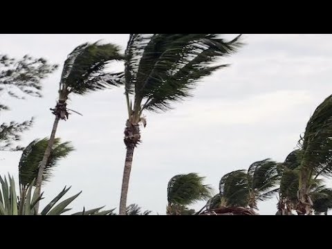 Eleuthera and Hurricane Irma-Fri PM-Todd Vendituoli-LIFE #405 - YouTube