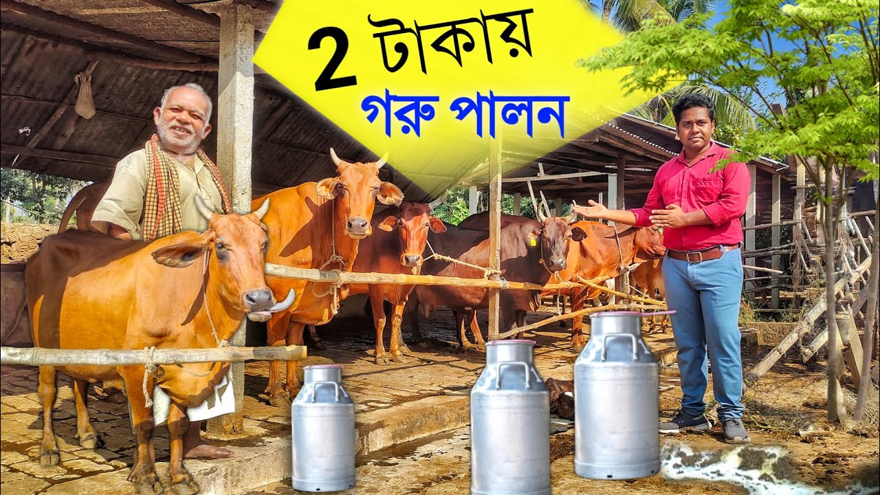 ২ টাকাতেই গরু পালন | Highest Milking | Cow Farm | Dairy Farm | Tata ...