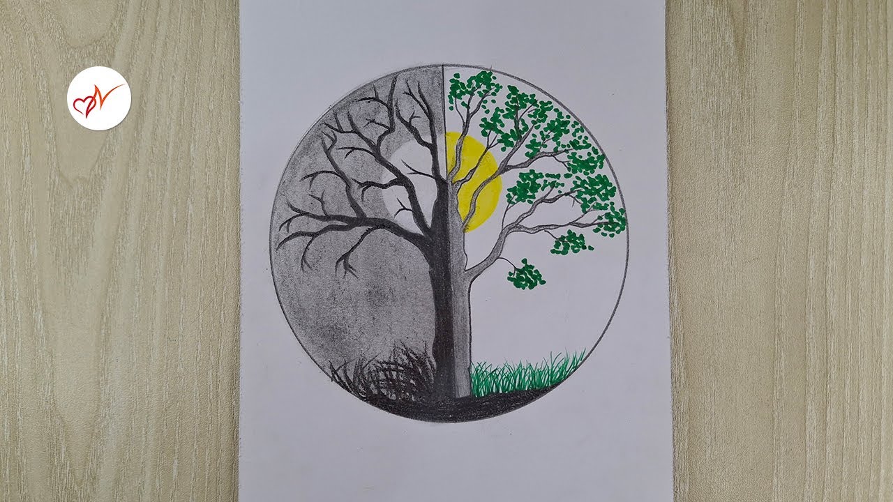 How To Draw Half A Tree