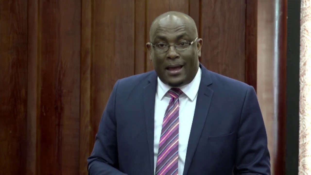 HON SHAWN EDWARD DEBATES APPROVAL OF STATE OF EMERGENCY (COVID-19 ...