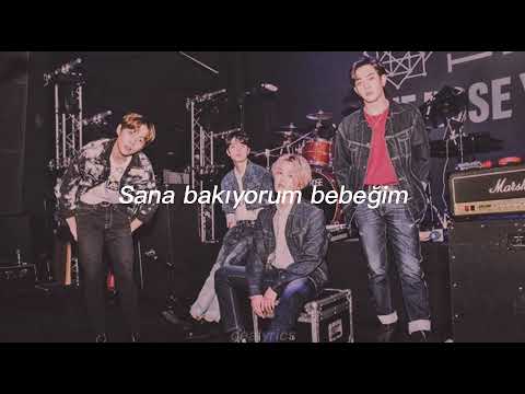 The Rose - Baby (Türkçe Çeviri)