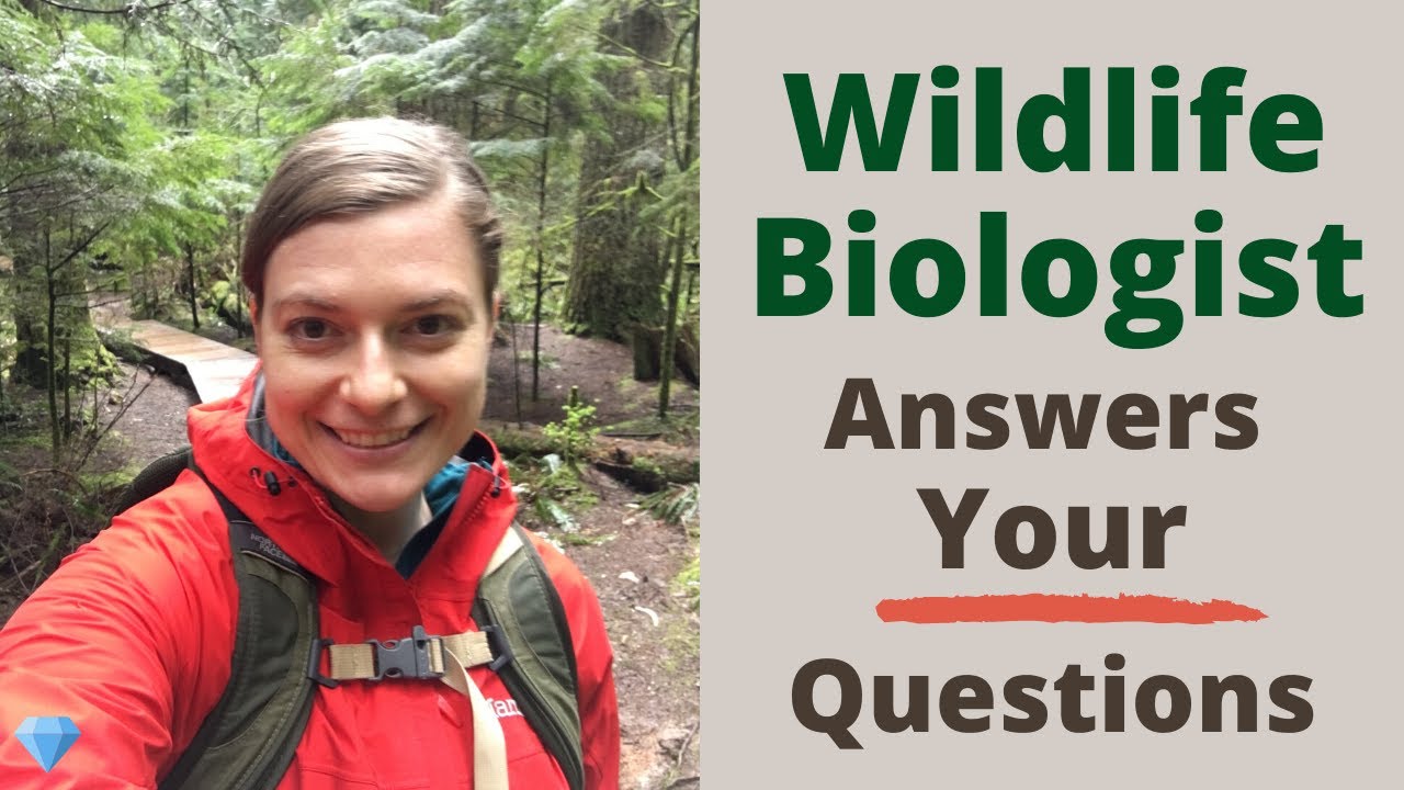 Open Q&A with Wildlife Biologist Dr. Stephanie Schuttler - YouTube