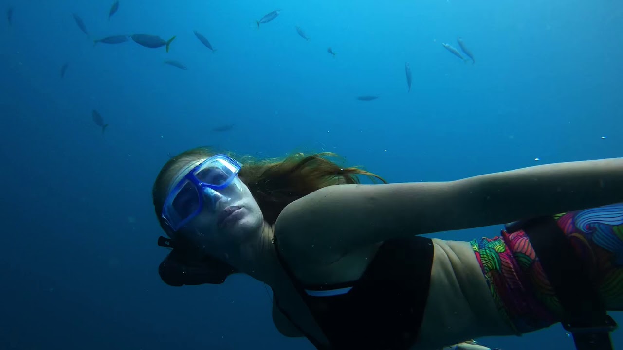 Girls that freedive with sharks - YouTube