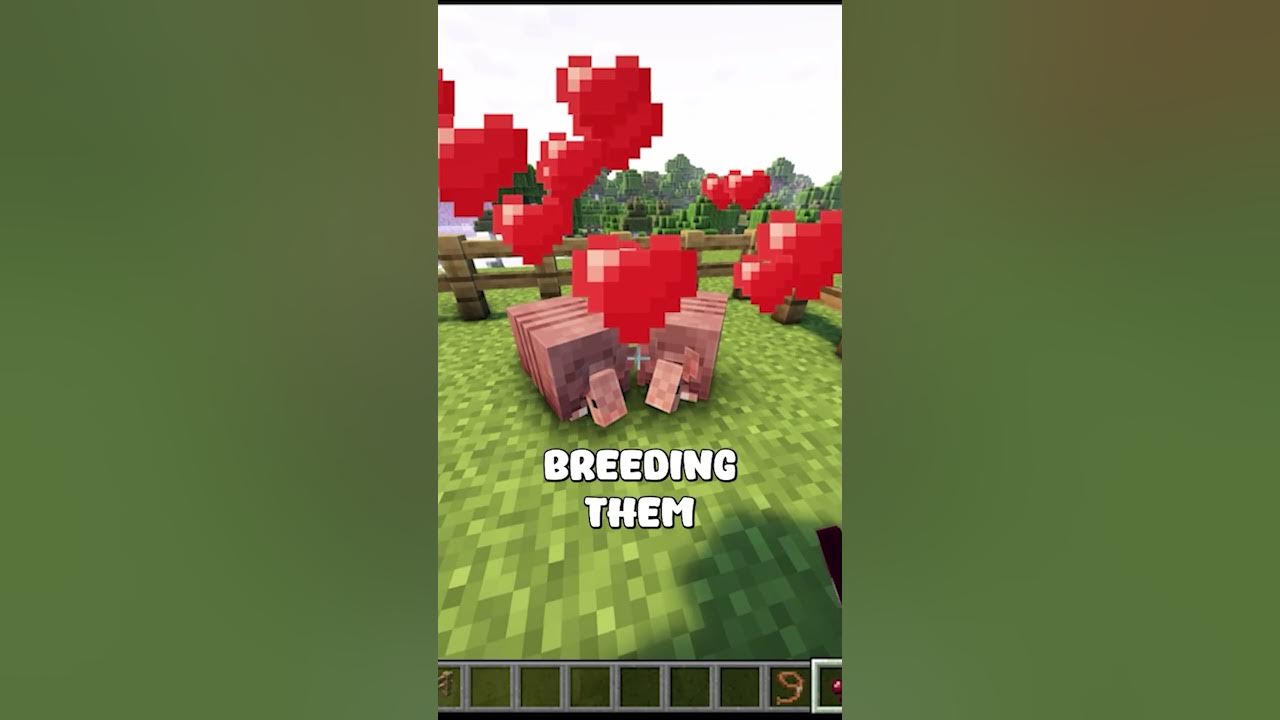 Insane Java Armadillo XP Farm - YouTube