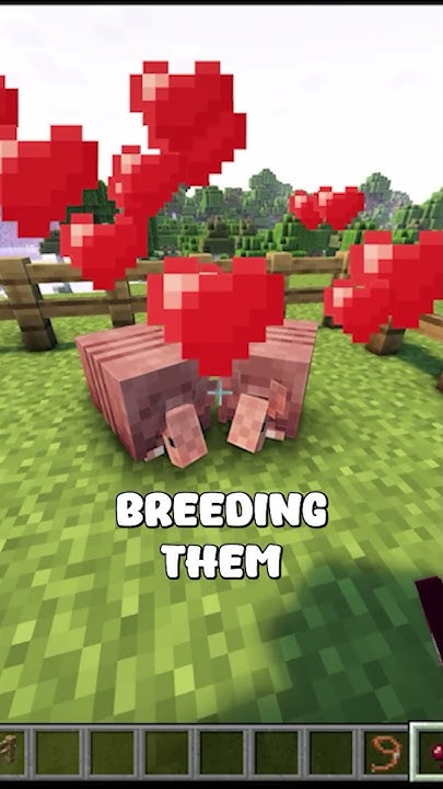 Insane Java Armadillo XP Farm - YouTube