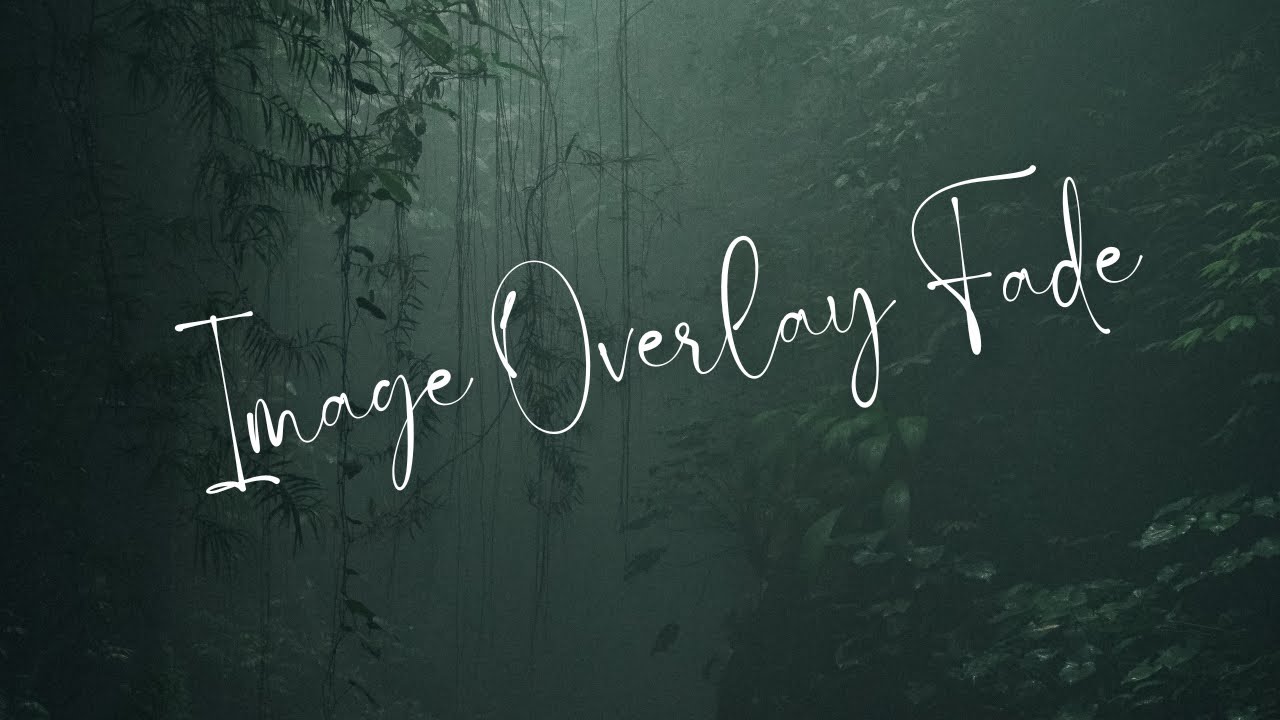 Image overlay fade | learn html css | beginners tutorial - YouTube