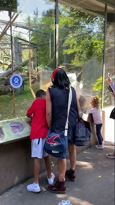 THE ZOO PART 2 (2020) - YouTube