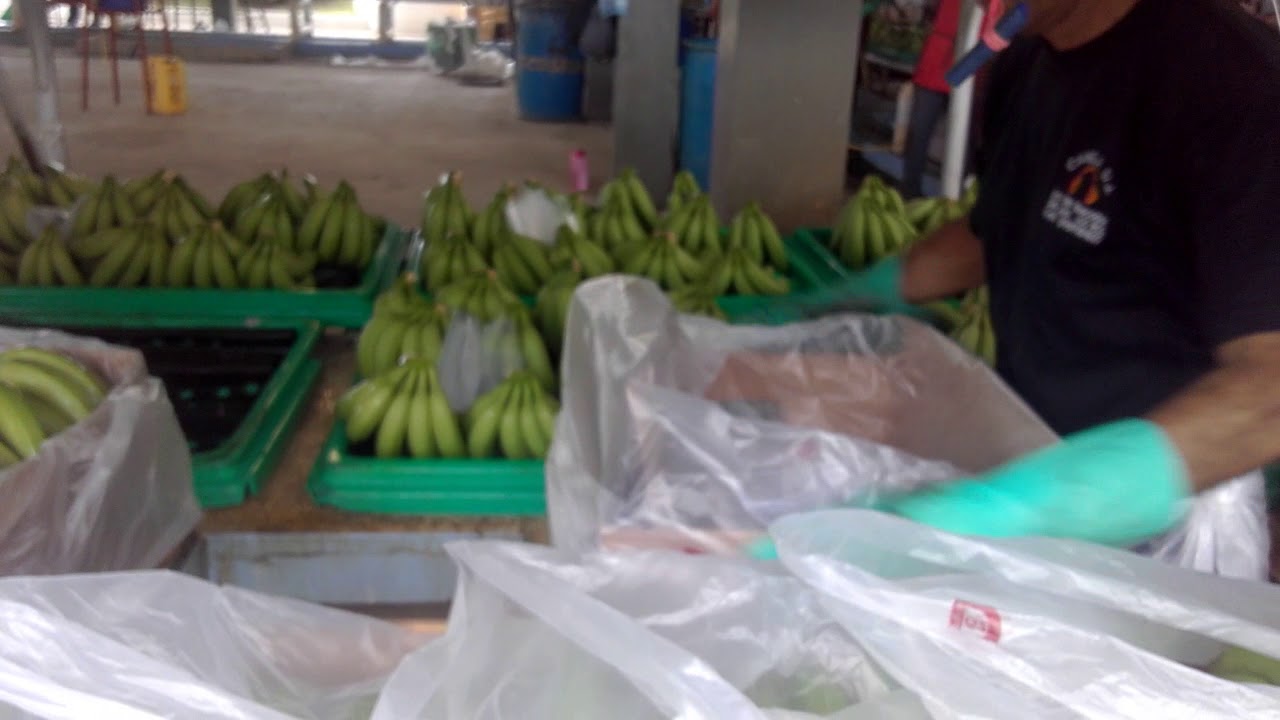 Como se empaca una caja de banano? - YouTube
