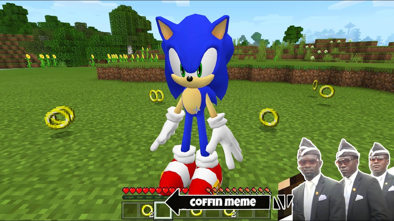 I found the Real Sonic in Minecraft - Coffin Meme - YouTube