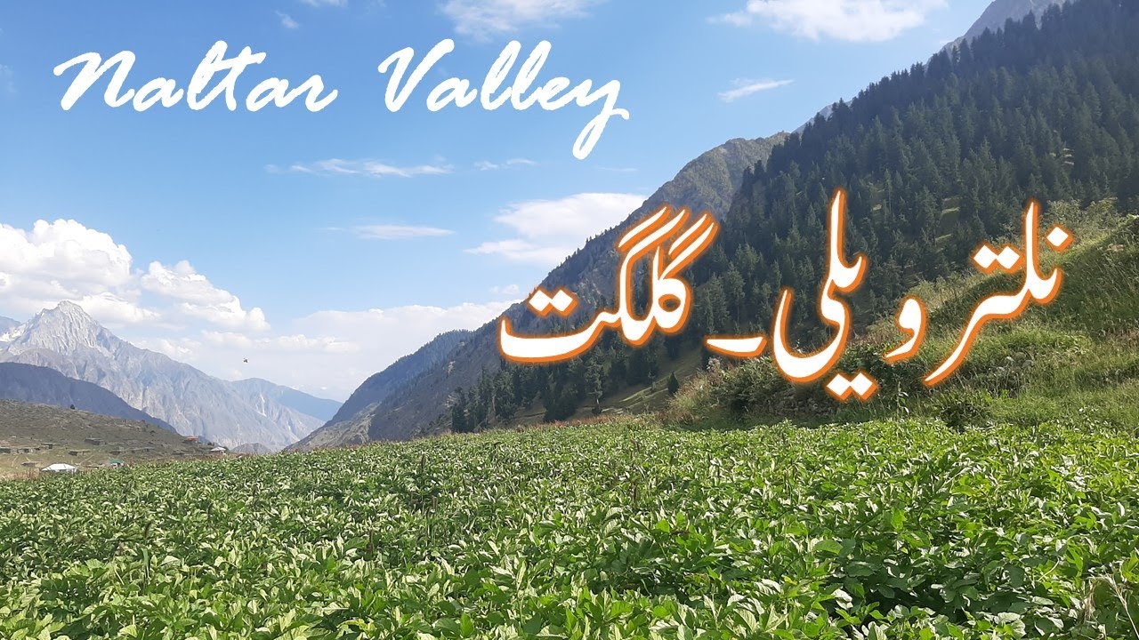 Naltar Valley, نلتر ویلی , Gilgit, September travel North Pakistan ...