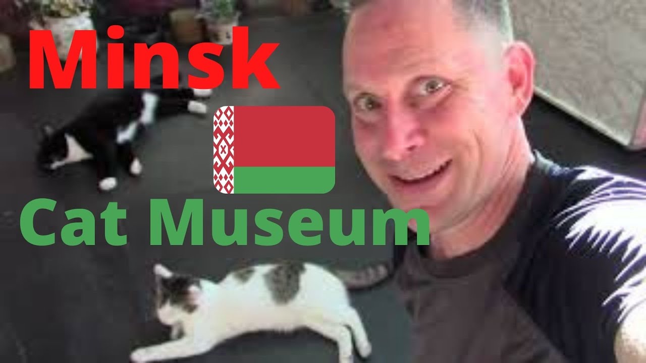 🇧🇾 Adorable Belarus CAT Museum! Upper Town Minsk is Fun and Tourist ...