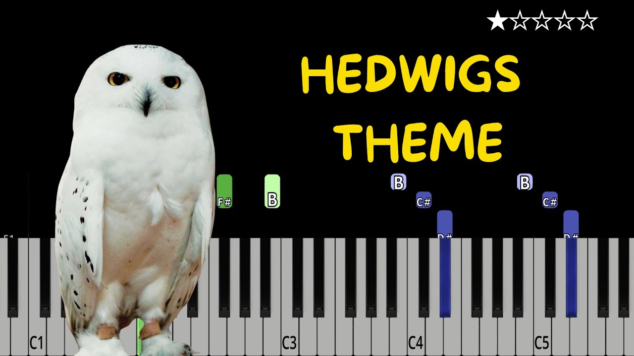 Hedwig's Theme - Piano Tutorial (Easy) - YouTube