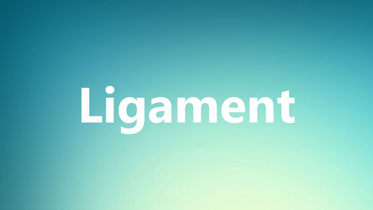 Ligament - Medical Meaning and Pronunciation - YouTube
