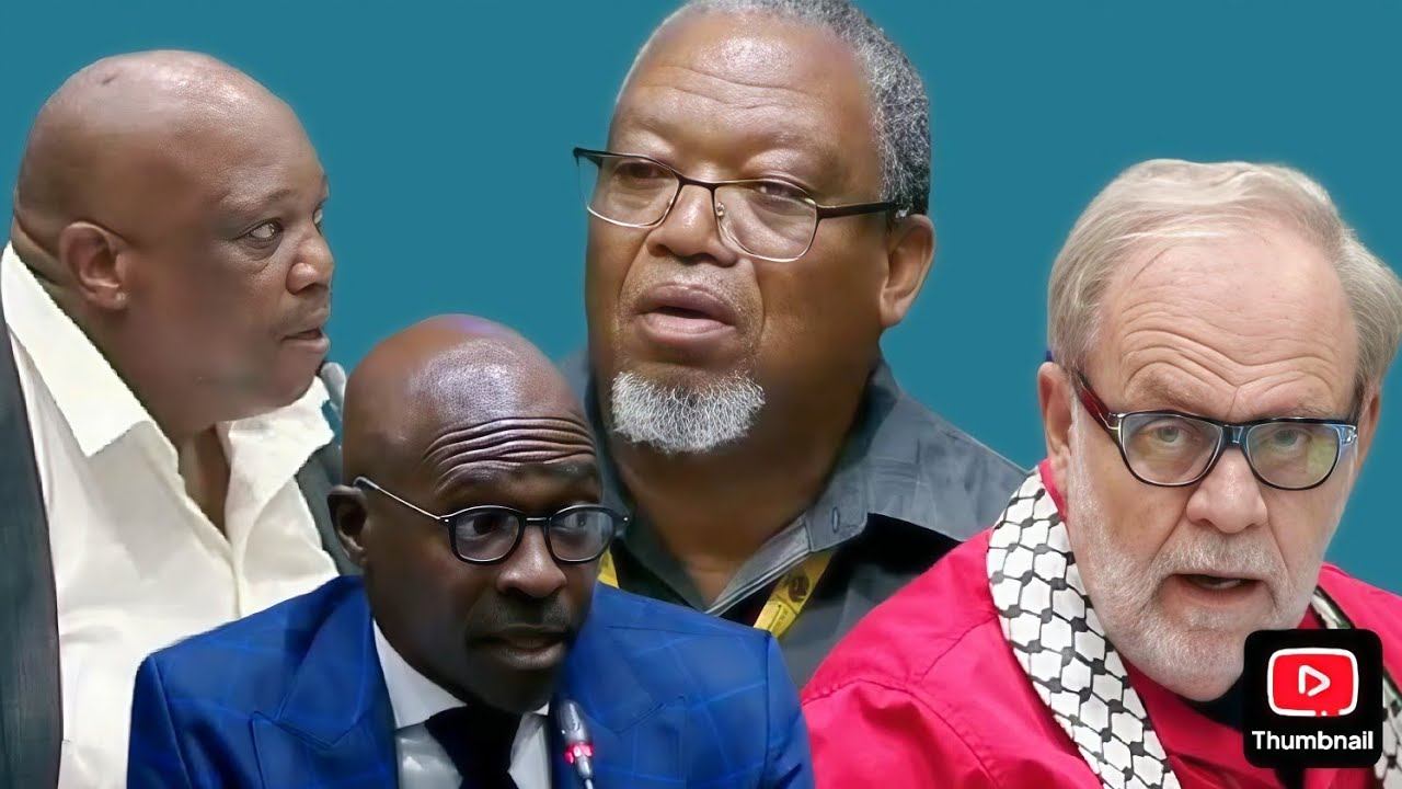 Chaos in parliament EFF vs ANC on the issue of Dr Malusi Gigaba - YouTube