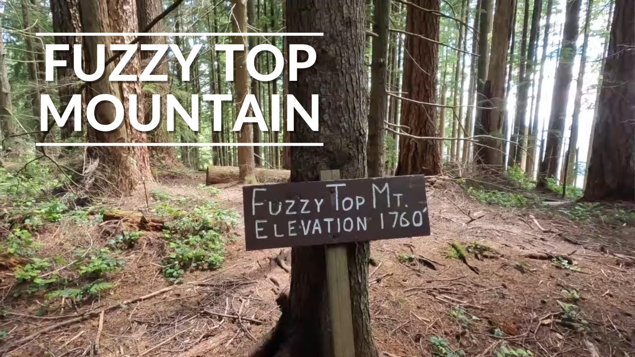 A Scenic Hike to Fuzzy Top Mountain in the Capitol Forest, Washington ...