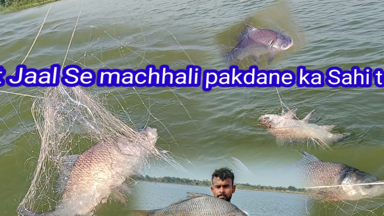 Net Jaal fishing Jaal Se jyada machhali fasane ka Sahi tarika - YouTube