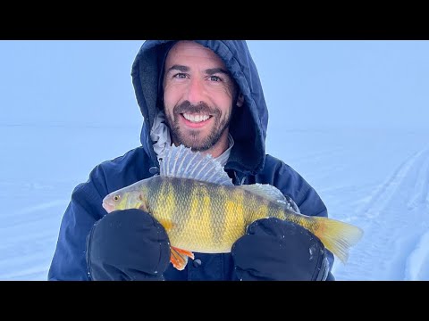 PERCH! Lake Cascade 2024 - YouTube