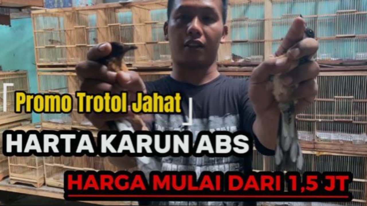 PROMO AWAL BULAN SEMUA TRAH KITA PROMOKAN - YouTube