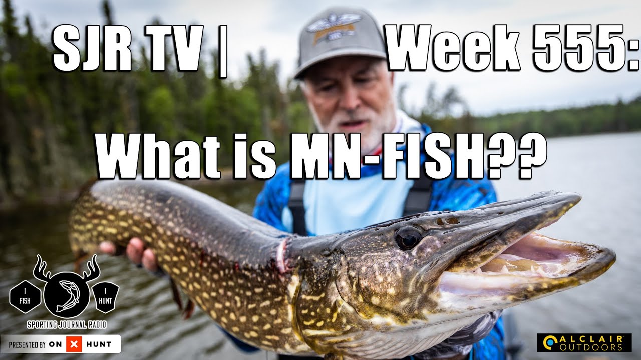 SJR TV | Week 555: What is MN-FISH?? - YouTube