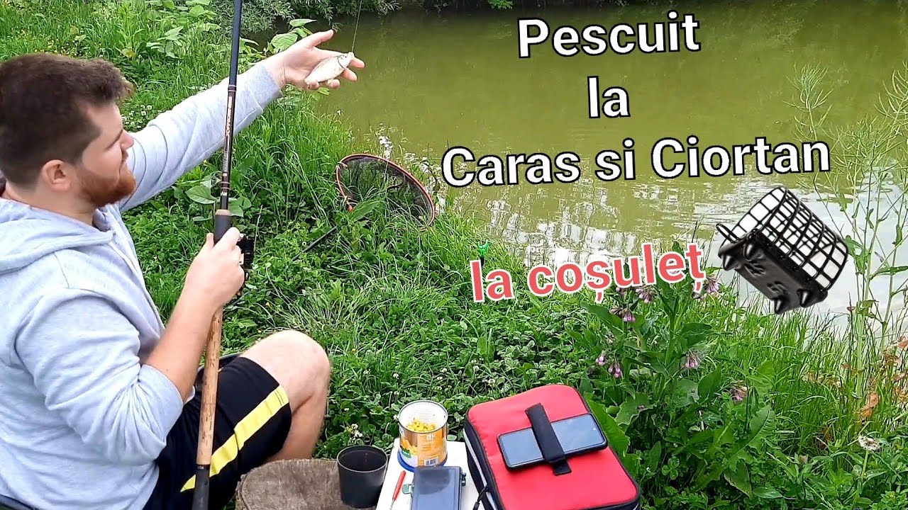 Pescuit la feeder după Caras si Ciortan cu râme , viermi si porumb - la ...