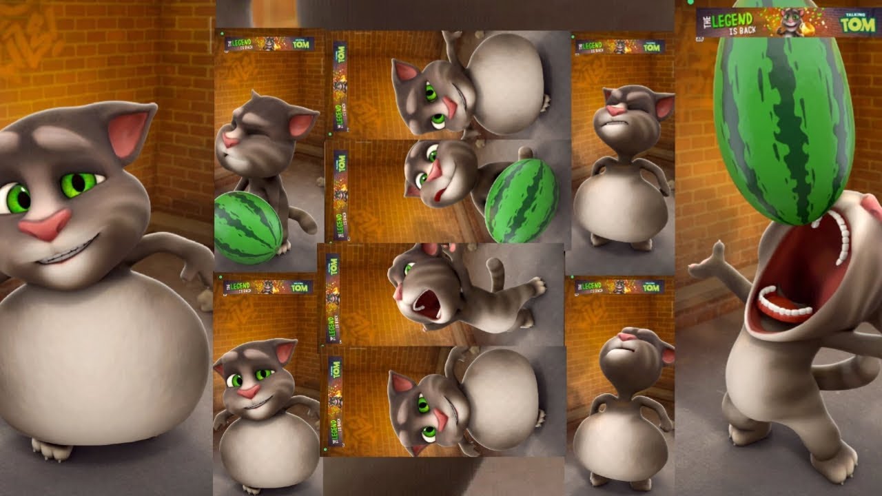 Talking Tom - Funny Cat Gameplay - Mobile Gameplay - Tom Cat Fun Tv ...