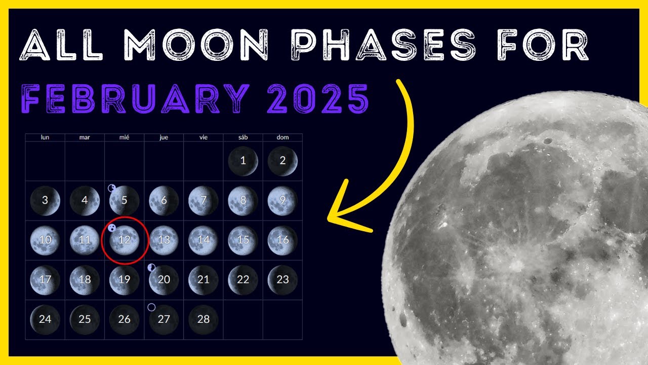 All Moon Phases for FEBRUARY 2025 🌕 Lunar Cycle & Daily Calendar of ...