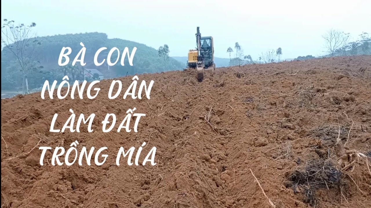 Quy trình làm đất trồng mía ở vùng đồi núi cao, đất đồi có độ dốc lớn ...