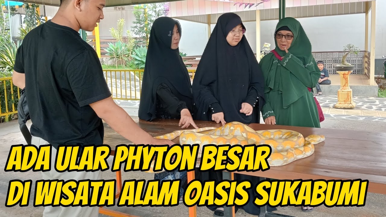 ADA ULAR BESAR DI WISATA ALAM OASIS SUKABUMI - YouTube