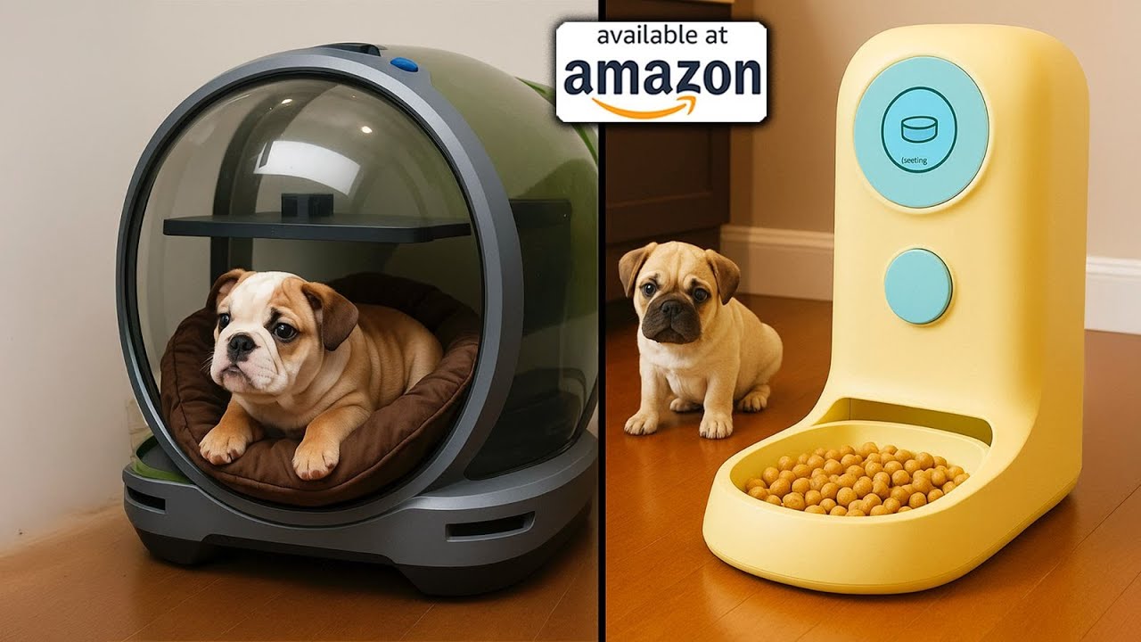 50 Genius Pet Gadgets on Amazon Every Pet Owner Needs in 2025 - YouTube