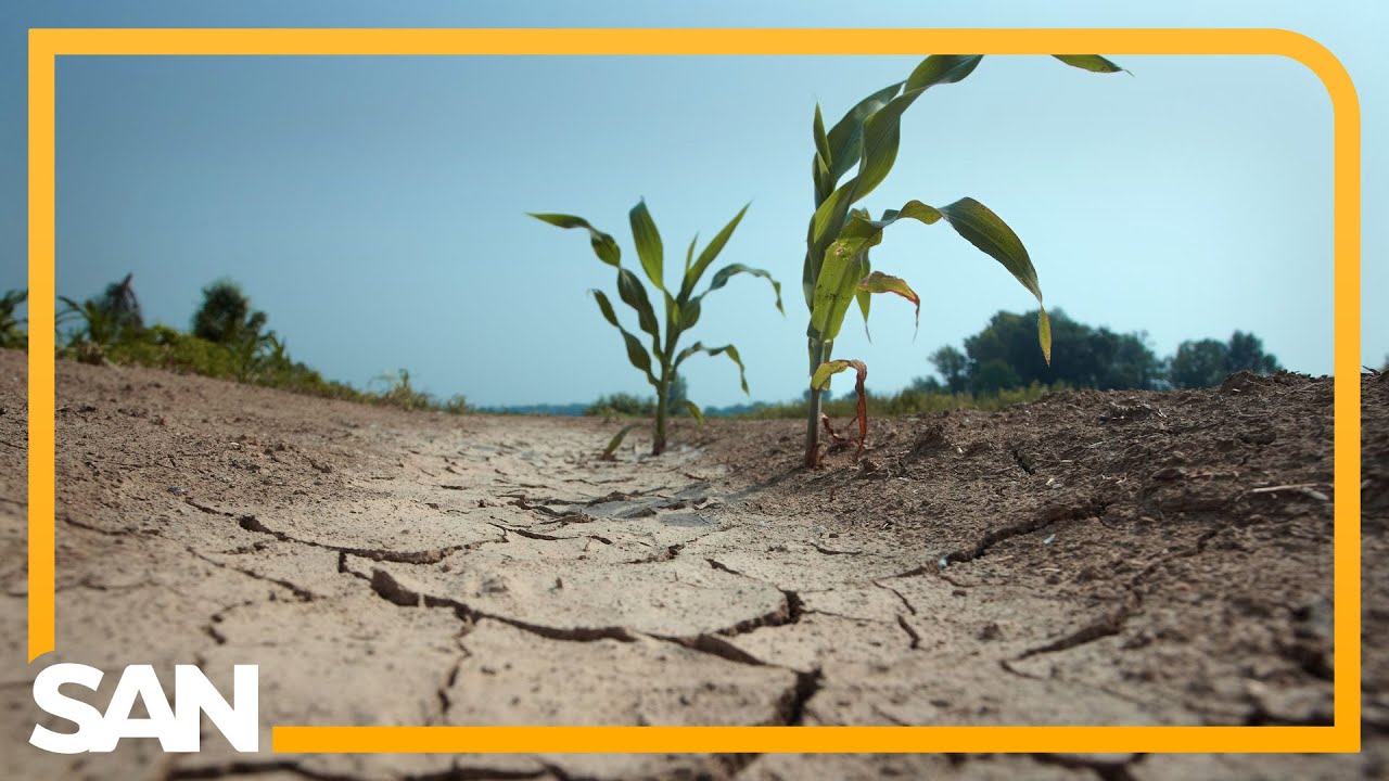 Global water crisis threatens half the world’s food supply: Report ...