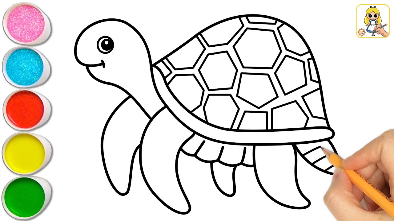 How to Draw a Tortoise/Turtle Step by Step / Easy Tortoise Drawing ...