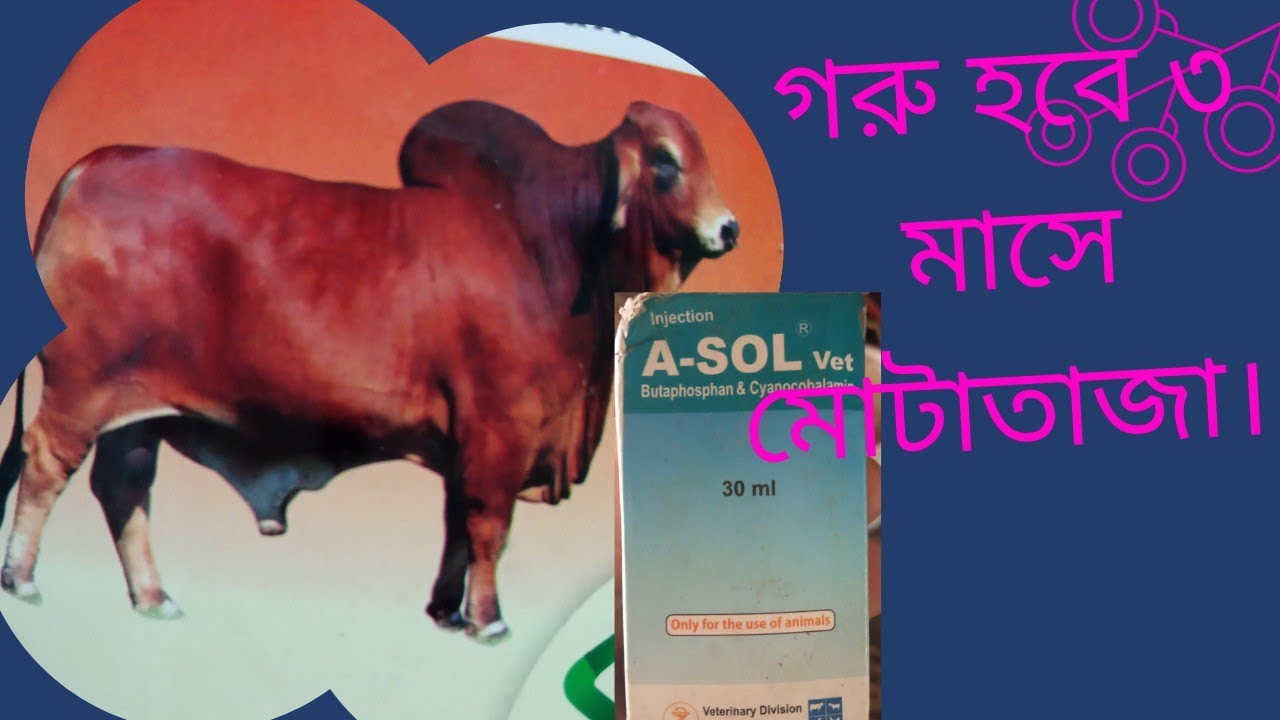 A SOL.A sol vet.গবাদি পশুর মোটাতাজাকরন, প্রজনন, পুষ্টিহীনতা, দুর্বলতায় ...